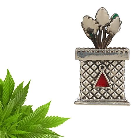 Tulsi Plant 10 Gram Dhruvs Collection