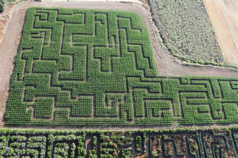 מבוך ענק במושב שדה יעקב