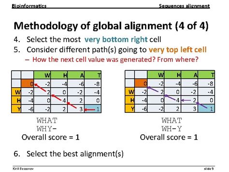 Bioinformatics Sequences Alignment Sequence Alignment Practical