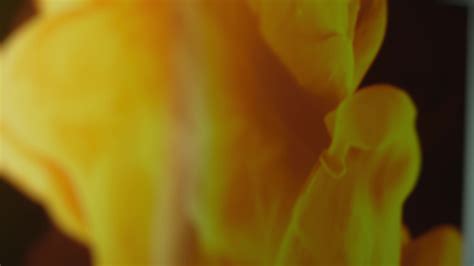 Abstract Background Of Orange Liquid Mixed With Water Image Duplication Effect 42623693 Stock