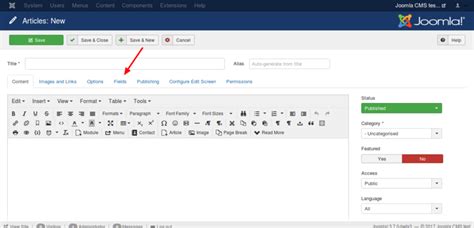 J3xadding Custom Fieldshow Can You Group Custom Fields Joomla Documentation
