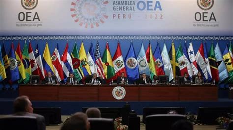 Grupo De Alto Nivel De La Oea Llega A Perú Para Analizar Crisis Cactus24