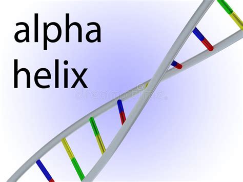 Alpha Helix Concept Stock Illustration Illustration Of Anatomy 197535578