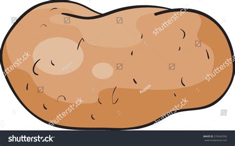 2 Yukon Gold Potato 库存矢量图、图片和艺术矢量图 Shutterstock