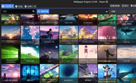 Wallpaper Engine壁纸引擎离线版安装截图预览 It猫扑网