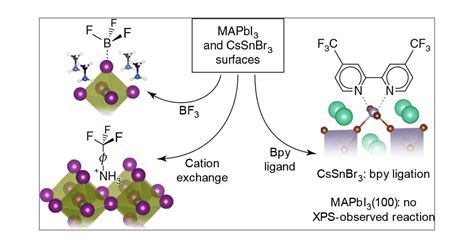 Elucidation Of Chemical Species And Reactivity At Methylammonium Lead Iodide And Cesium Tin
