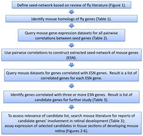 A Description Of Our Biological Heuristic Strategy Download