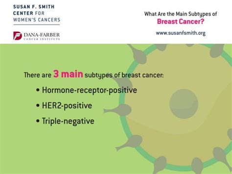 What Are The Main Subtypes Of Breast Cancer Ppt