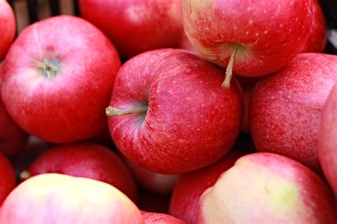 Eating On The Wild Side Excerpt All About Apples