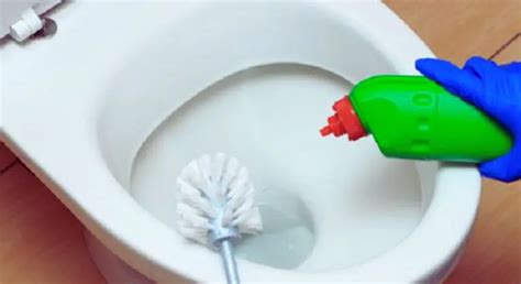 Cómo Destapar Un BaÑo Con Acido Muriatico