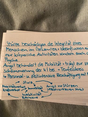 Anatomie Basis Flashcards Quizlet