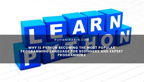 why is python becoming the most popular programming language 2025