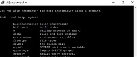 Install Go On Raspberry Pi Os Shortest Tutorial Dev Community