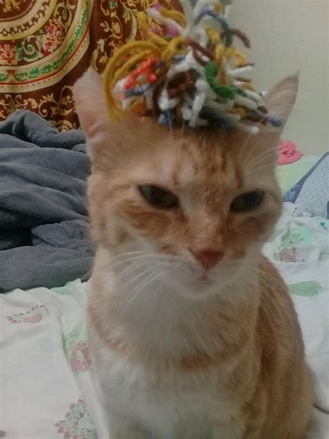 Does This Count Scrolller