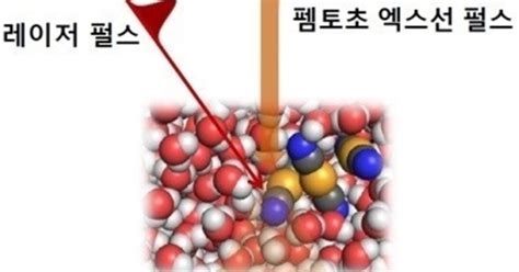 1000조분의 1초 관측 성공분자 완성되는 과정보니 관심 집중