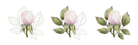 수채화 흰색 분홍색 장미 꽃 봉오리의 구성은 잉크와 수채화의 변형으로 그려진 나뭇잎으로 둘러싸여 있습니다 청첩장 엽서 포스터