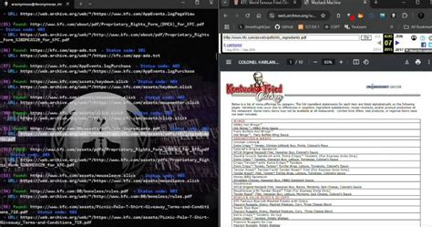 leon bogod on linkedin osint cybersecurity bugbounty osint