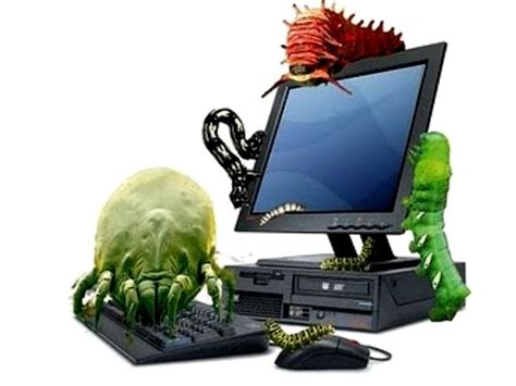 Cyber Security Flashcards Quizlet