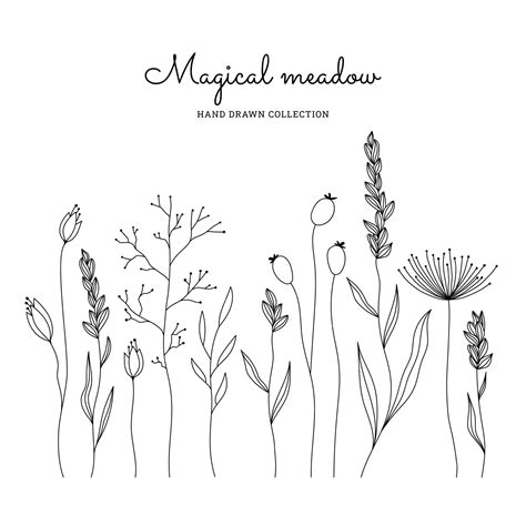 Premium Vector Black Silhouettes Of Wild Grasses And Magical Meadow