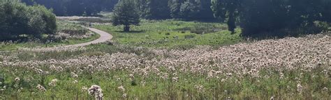 Erddig Park Circular 106 Reviews Map Wrexham Wales Alltrails