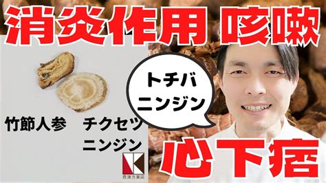 漢方薬竹節人参チクセツニンジン1分で分かる生薬解説 改訂版 YouTube