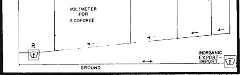 Electrical Analogue Circuit For A Steady State Ecosystem Like The One