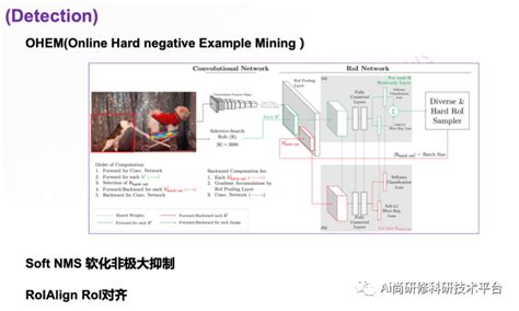 【pytorch】从cnn到transformer：基于pytorch的遥感影像、无人机影像的地物分类、目标检测、语义分割和点云分类