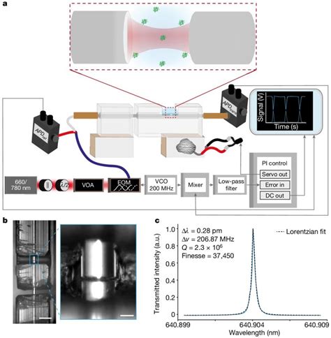 Mohamed Aly Saad Aly Phd Peng On Linkedin Label Free Detection