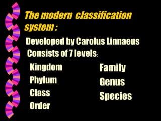 Classification PPT