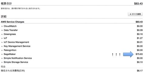 世界初の深層学習に対応したamazonのビデオカメラ「aws Deeplens」を使ってみた！
