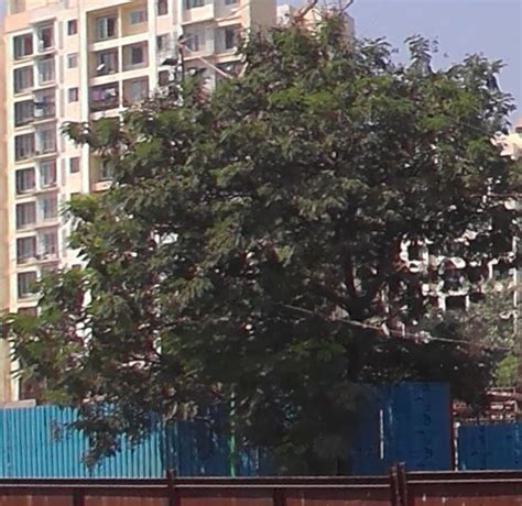 Clusteringsegmentation Object Detection Dataset By Shadiya