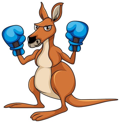 Kangaroo Pics Cartoon