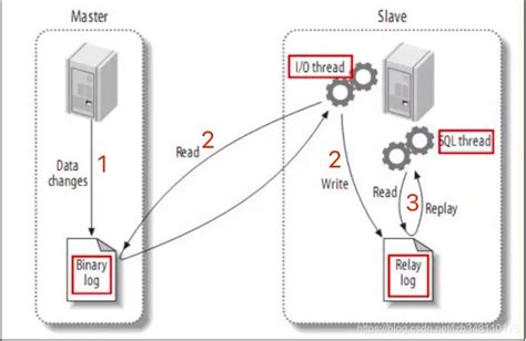 Mysql 5728 主从复制实现replicate Do Db Csdn博客
