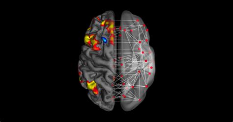Network Neuroscience Theory Best Predictor Of Intelligence Decision