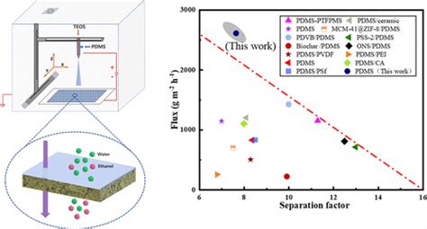 Thin Film Composite Tfc Polydimethylsiloxane Pdms Membrane With