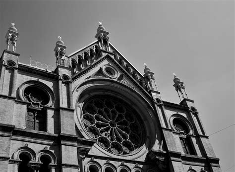 검정색과 흰색 · 무료 스톡 사진