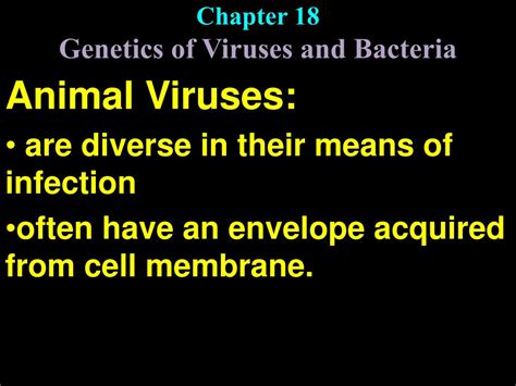 PPT Chapter 18 Genetics Of Viruses And Bacteria PowerPoint