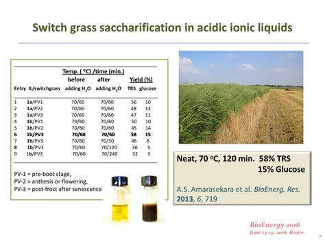 Ananda S Amarasekara Onome S Ppt Download