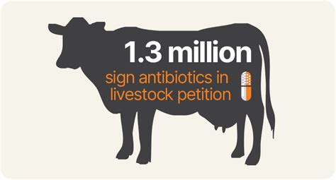 13 Million Sign Antibiotics In Livestock Petition Sustain