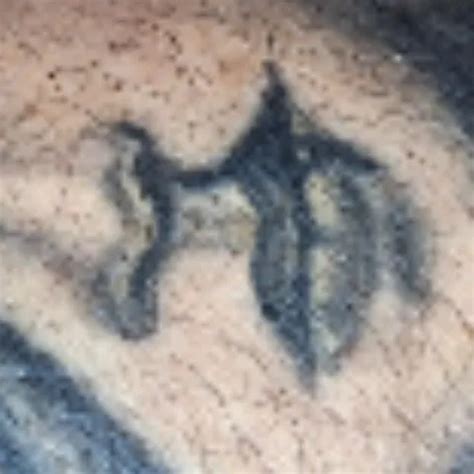 Margot Robbie Long Hair Homemade Porn Xhamster