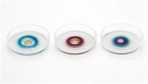 3d Printing System Uses Hybrid Living Materials To Make Biomedical