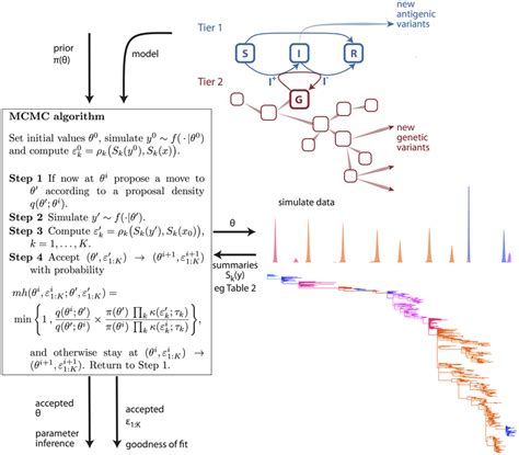 Overview Of Simulation Based Phylodynamic Inference And Model