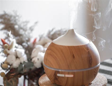 Ini Dia Perbedaan Diffuser Dan Humidifier Skandinavia Apartment