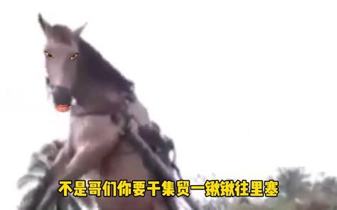 芜湖～起飞！ 全网搜撒欢 全网搜撒欢 哔哩哔哩视频
