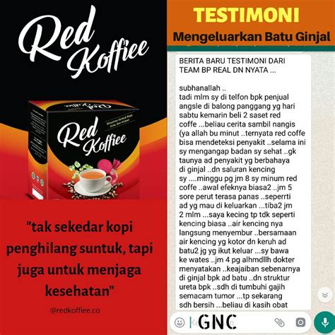 Penyakit Batu Ginjal Atau Nefrolitiasis Adalahpembentukan Materi Keras