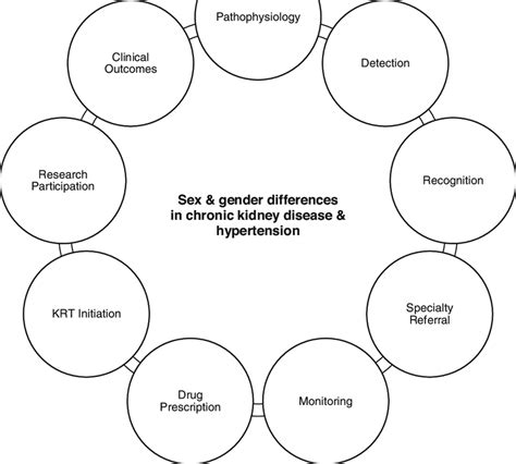 Sources Of Sex And Gender Differences In Chronic Kidney Disease Download Scientific Diagram