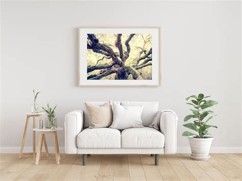 Angel Oak Angel Oak Print Live Oak Photo Angel Oak Etsy