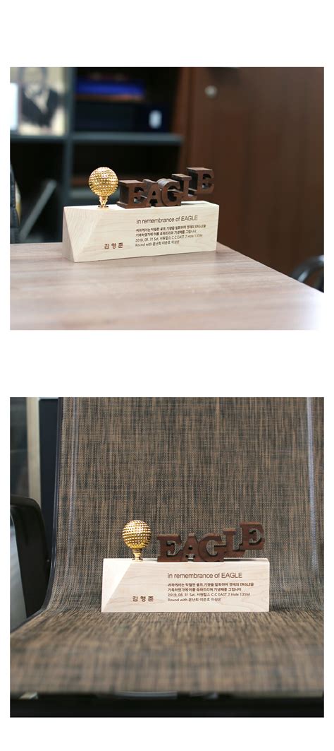 골프 이글 싱글 홀인원 트로피 원목 기념패 Ttr06