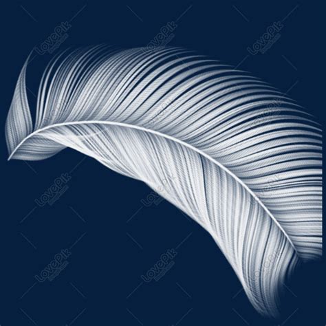 흰색 투명 만화 깃털 Png 일러스트 및 벡터 이미지 무료 다운로드 Lovepik