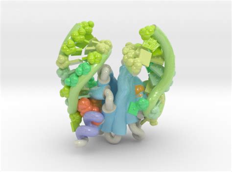 Rsme Csra Bound To Mrna Biologic Models